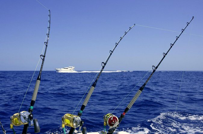 Private Tour Charter Deep Sea Fishing on Wahooter's - Who Would Enjoy This Tour?