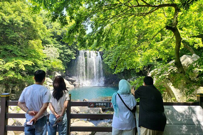 Private Tour Cheonjeyeon Falls & Spirited Garden in Jeju Island - Introduction