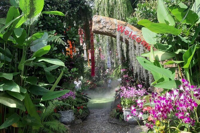 Private Tour Chiang Rai 3 Wonderful Temples & Lalitta Cafe - Value and Practical Insights