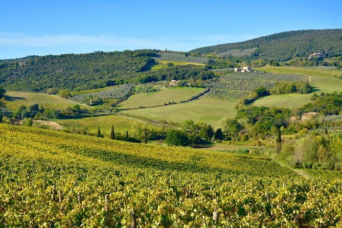 Private Tour: Chianti Region Tour by Minivan - Itinerary Breakdown: What You Can Expect