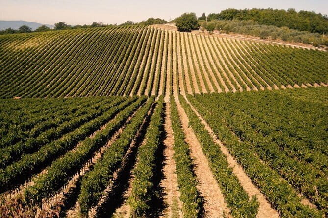 Private Tour: Chianti Winery, Montefioralle, and Greve in Chianti - Key Points