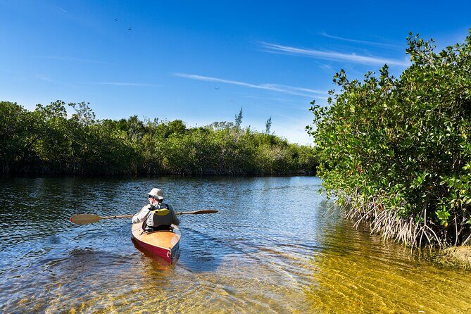 Private Tour Clear Bottom Kayak Mangrove - Starting Point: Hotel Pickup and Transportation