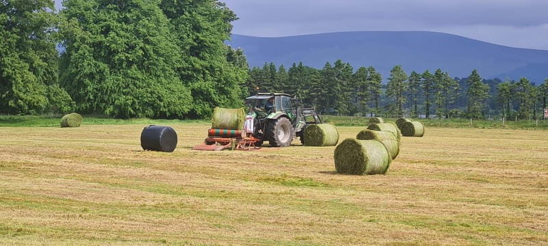 Private Tour - Co. Wicklow, Glendalough & Powerscourt Estate - FAQ