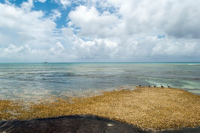 Private Tour Cockburn Town Cultural with Rum Cake - First Stop: Cockburn Town