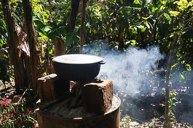 Private Tour: Cocoa, Coffee, Local Market and Cigars Factory - Practical Details