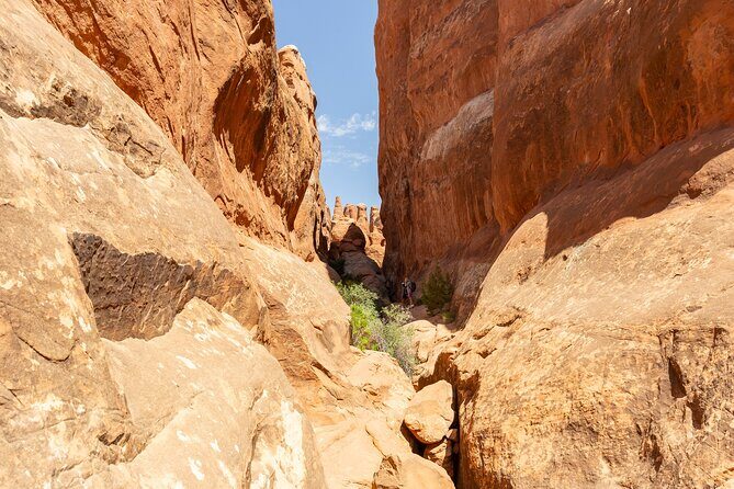 Private Tour Colorado Plateau from Sedona - Authentic Experiences and Traveler Insights