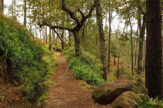 Private Tour: Combo Expedition (Jeep Tour & Levada Walk) - Who Would Love This Tour?