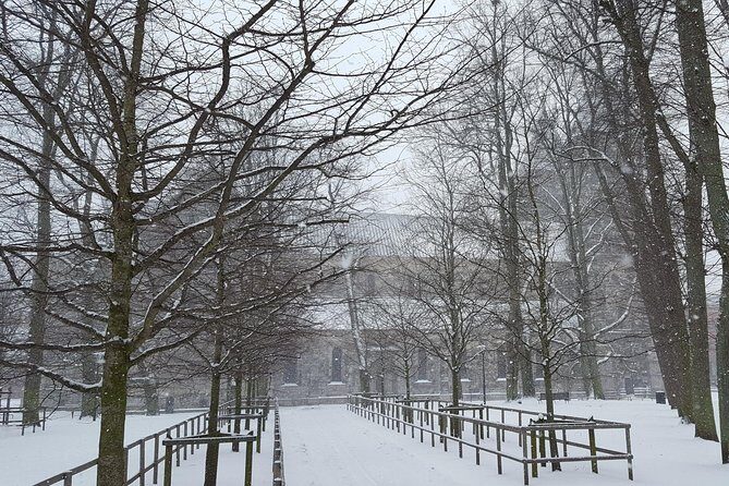 Private tour Copenhagen to Lund & Malmö City daytrip - Who Should Consider This Tour?