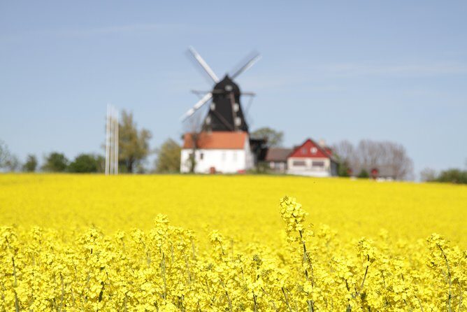 Private tour Copenhagen to Lund & Malmö City daytrip - Final Thoughts
