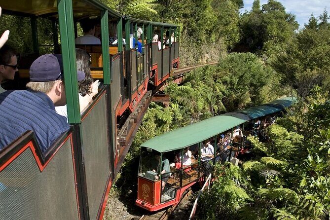 Private Tour - Coromandel Beach, Caves & Forest - Starting Point: Auckland Central