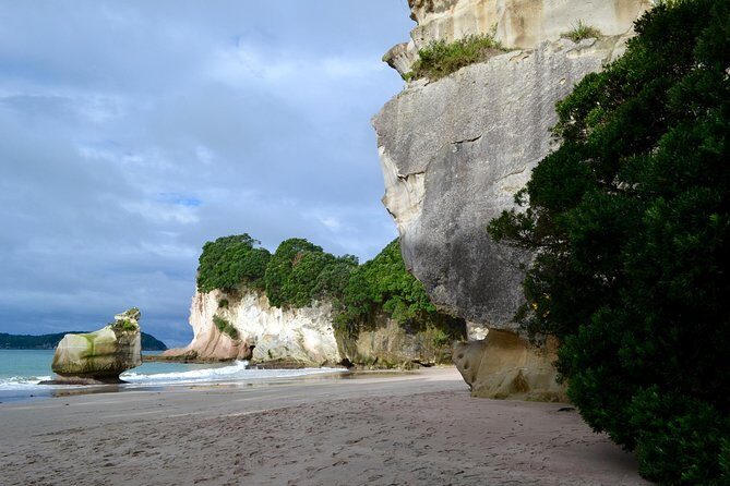 Private Tour - Coromandel Beach, Caves & Forest - Stop 3: Driving Creek Railway and Pottery