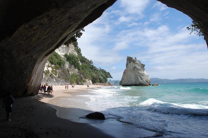 Private Tour - Coromandel Beach, Caves & Forest - The Practical Side: Whats Included and What to Consider