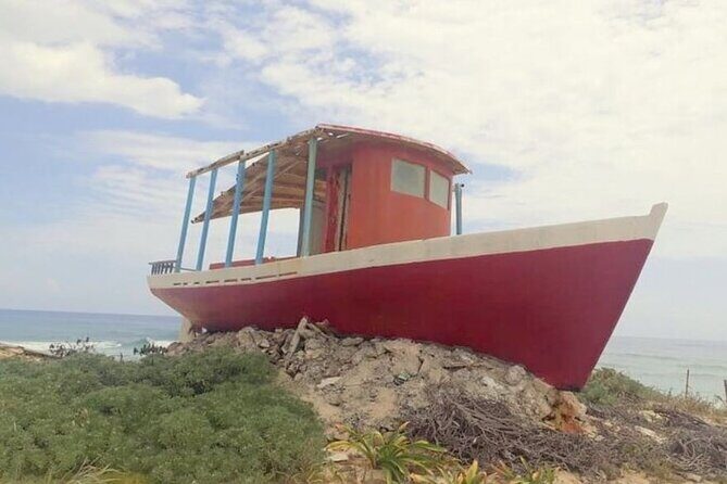 Private Tour Cozumel Buggy your way up to 4 People - An In-Depth Look at the Cozumel Buggy Tour