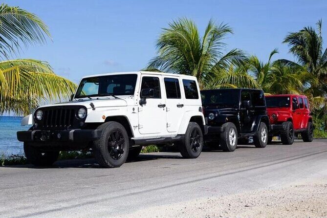Private Tour Cozumel your way Jeep 4x4 up to 4 People - Key Points