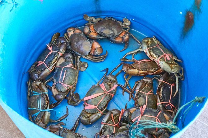 Private Tour: Crab Island Sightseeing Boat Ride and Seafood Lunch - Practical Details: What You Need to Know