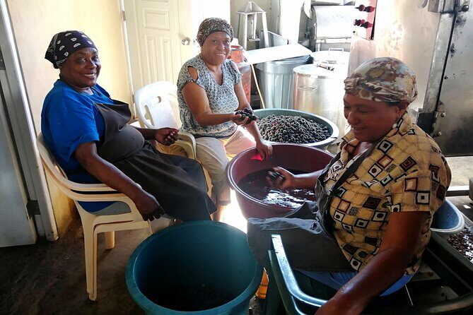 Private Tour Damajagua Waterfalls and Dominican Flavours - Final Thoughts: Who Will Love This Tour?