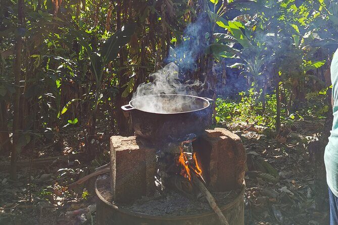 Private Tour Damajagua Waterfalls and Dominican Flavours - FAQs