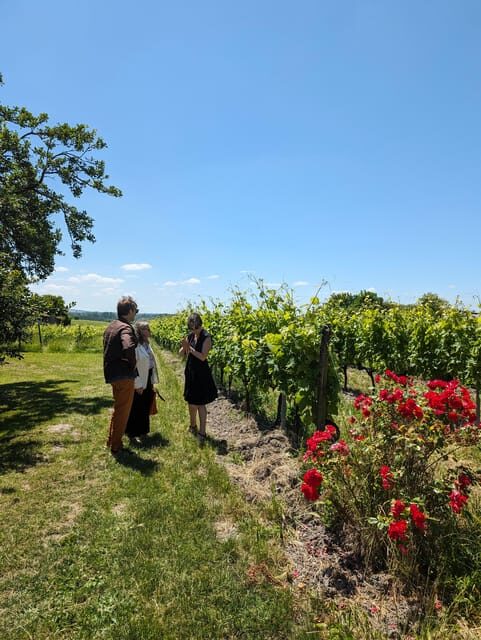 Private tour Day in the heart of the Cognac vineyards - An Introduction to the Tour: What Makes It Special