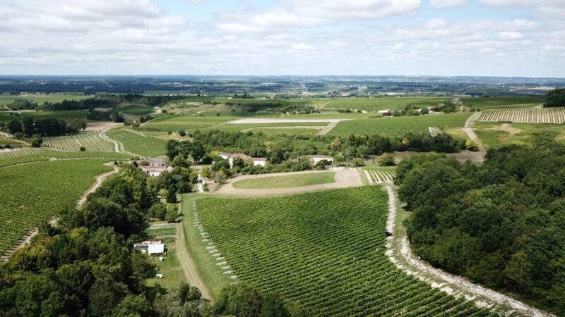 Private tour Day in the heart of the Cognac vineyards - The Detailed Itinerary: What to Expect