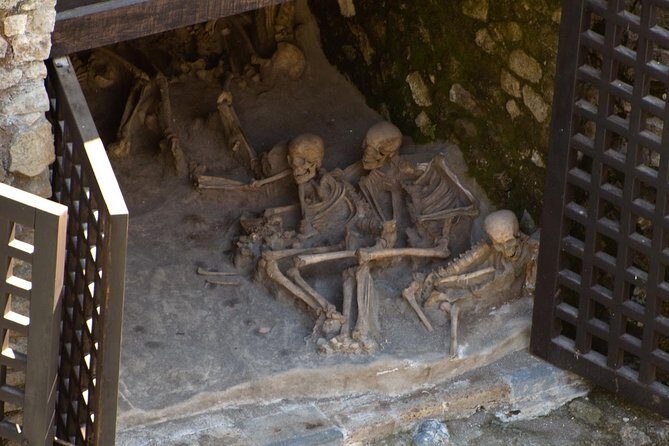 Private Tour: Day Trip Excursion to Herculaneum, Positano and Sorrento - Key Points
