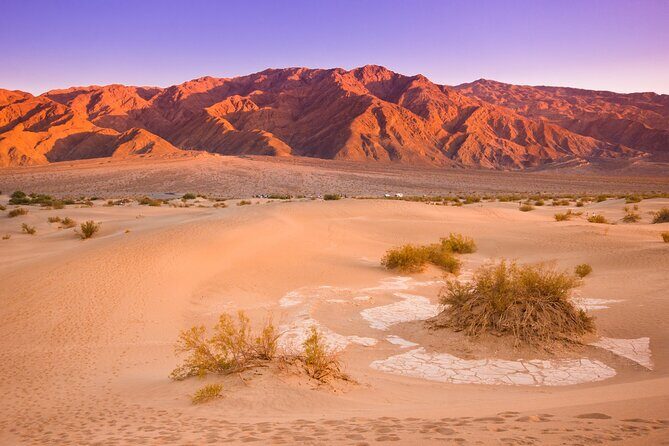 Private Tour Death Valley National Park from Las Vegas - The Experience: Value and Practicalities