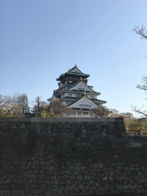 Private Tour: Discover the Best of Osaka with a Local Guide - What Makes This Tour Stand Out?