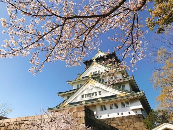 Private Tour: Discover the Best of Osaka with a Local Guide - Navigating the Itinerary and Transportation