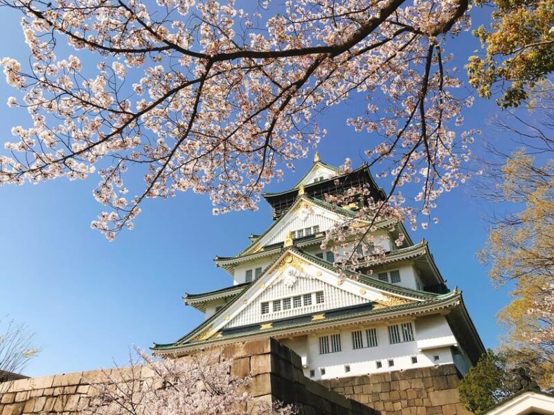 Private Tour: Discover the Best of Osaka with a Local Guide - Food and Local Flavor
