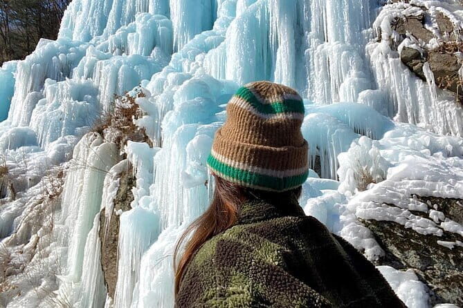 Private Tour: DMZ Aegibong & Korean Culinary Workshop Experience - Final Thoughts