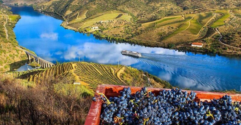 Private Tour: Douro Valley Wine and Food from Oporto - Pricing & Value