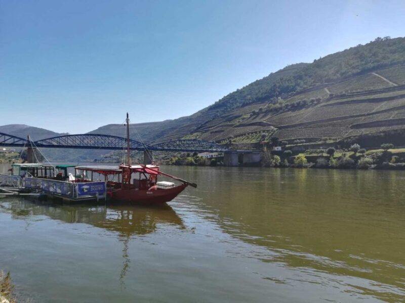 Private Tour: Douro Valley Wine and Food from Oporto - Who Will Benefit Most?