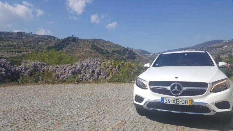 Private Tour: Douro Valley Wine and Food from Oporto - Final Thoughts