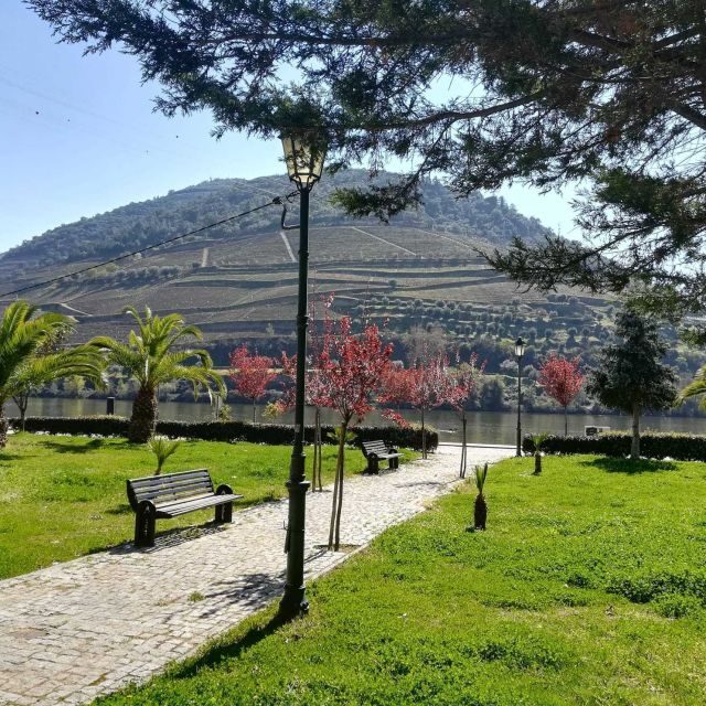 Private Tour: Douro Valley Wine and Food from Oporto - Frequently Asked Questions