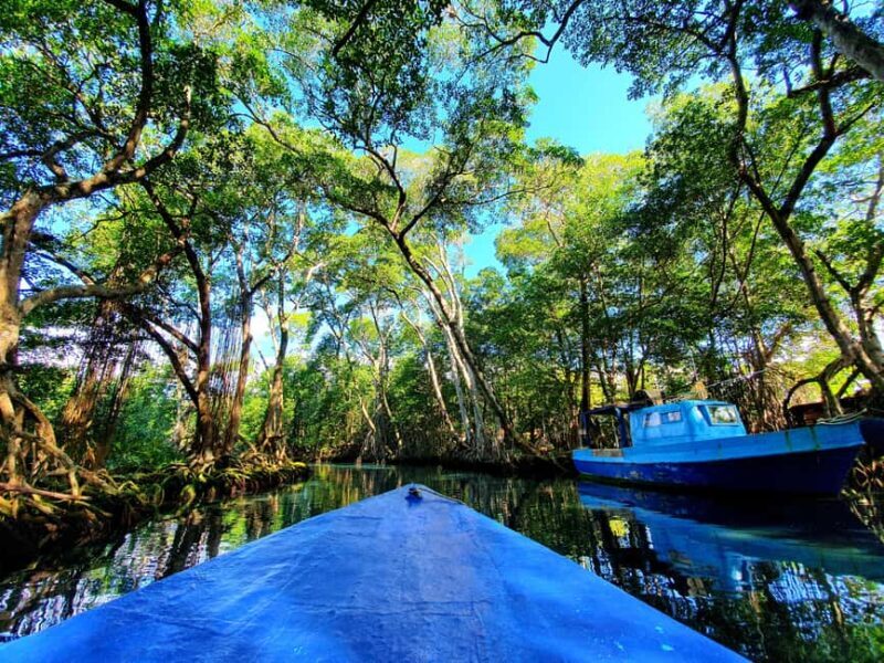 Private tour: Dudu cenotes + Playa Grande Beach + much more - An In-Depth Look at the North Coast Adventure