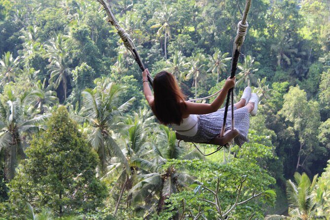 Private Tour : East Bali Highlights with Giant Swing - Final Thoughts: Is This Tour for You?