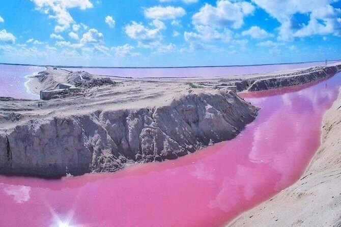 Private Tour: Ek Balam, Pink Flamingos Sanctuary and Tequila Tasting Factory - A Detailed Look at What You Can Expect