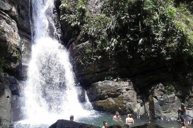 Private Tour El Yunque Rainforest swimming waterfall - Introduction