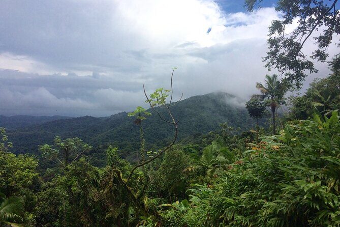 Private Tour El Yunque Rainforest swimming waterfall - Key Points