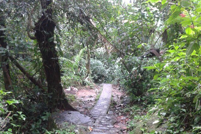 Private Tour El Yunque Rainforest swimming waterfall - What Makes This Tour Stand Out