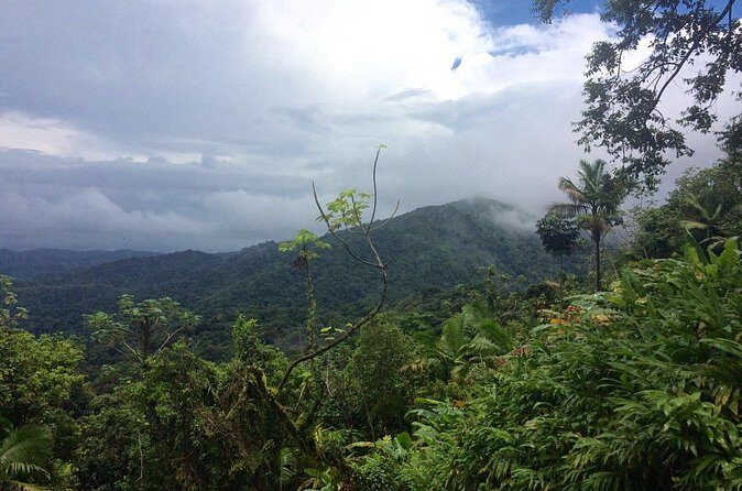 Private Tour El Yunque Rainforest swimming waterfall - Why This Tour Offers Good Value
