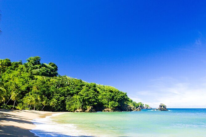 Private Tour Englishman's Bay from Tobago - Analyzing the Value