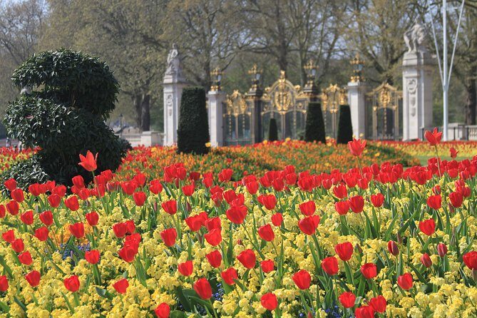 Private Tour, Entry to Westminster Abbey and London Highlights - Final Thoughts: Is It for You?