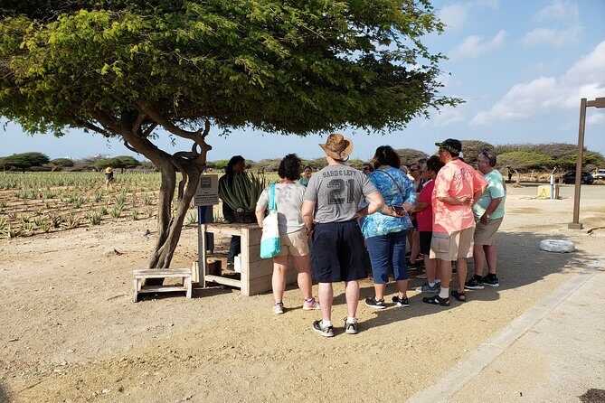 Private Tour: Essential Tour of Aruba - A Deep Dive into the Aruba Adventure