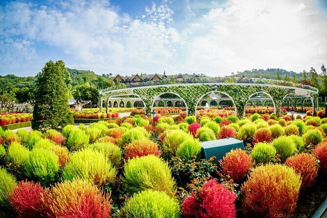Private Tour Everland Theme Park Full Day from Seoul - Key Points