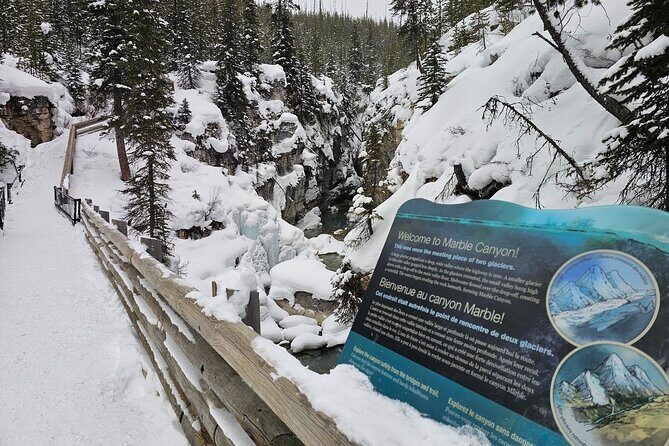 Private Tour Experience at Radium Hot Springs and Kootenay Park - An In-Depth Look at the Tour Experience