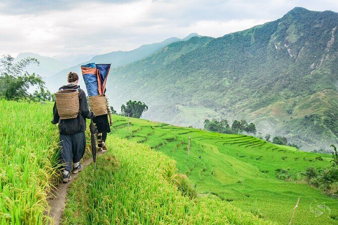 Private Tour Experience from Sapa Town to Cat Cat Village - Authentic Insights from Reviewers