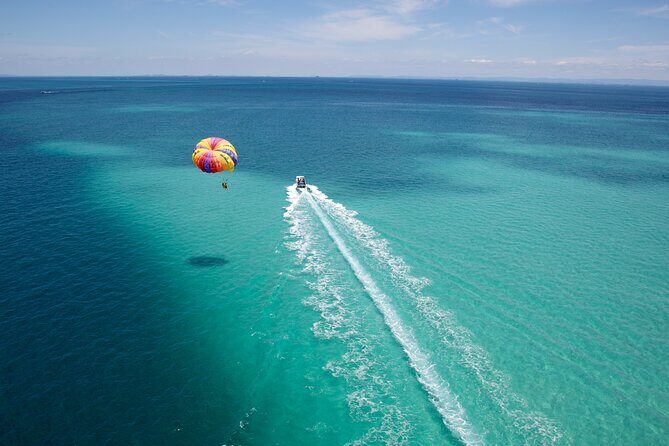 Private Tour Exploration in Gracebay - Authentic Reviews and Feedback