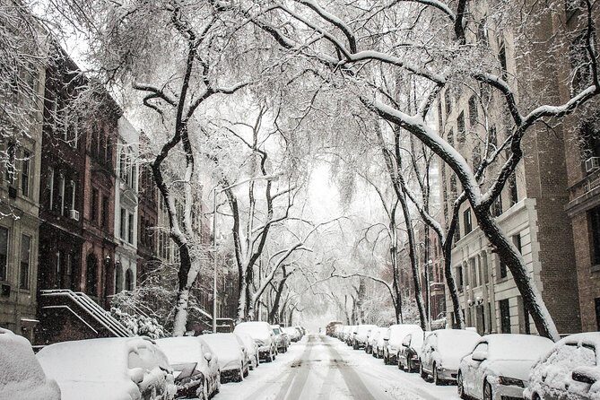 Private Tour: Explore the festivities in Dyker Heights, Brooklyn - Final Thoughts