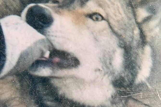 Private Tour: Famous MOVIES + MOUNTAINS Photo Safari Drive - 4hrs - FAQs