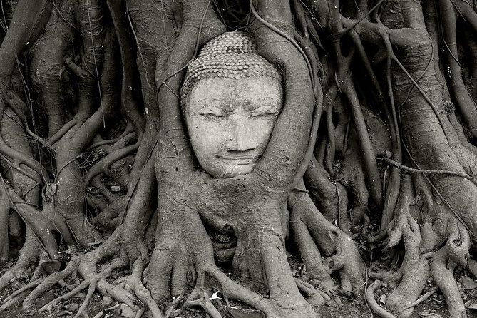 Private Tour: Fascinating Ayutthaya & Suphanburi Full Day Tour - The Value of This Tour